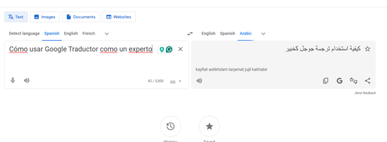 Cómo usar Google Traductor como un experto - Microespana